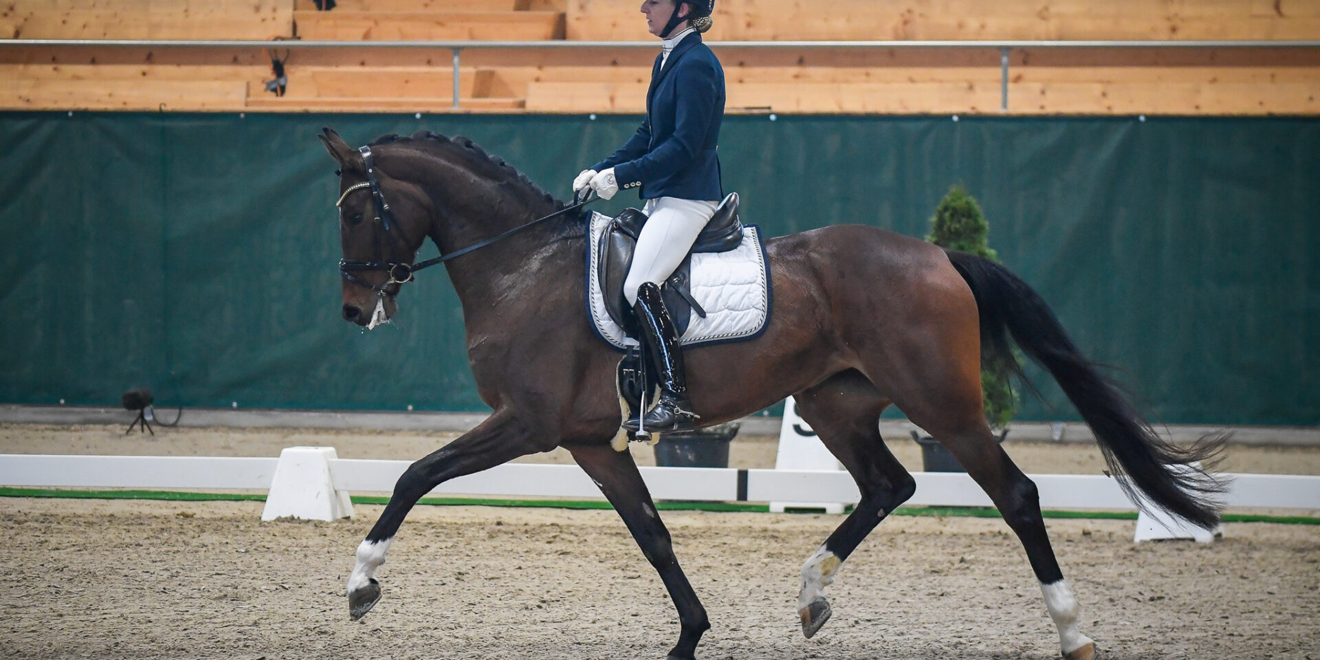 Melanie Hofmann vor Isabel Jüstrich und Tochter & Vater Graf – HORSE ... Melanie Hofmann vor Isabel Jüstrich und Tochter & Vater Graf – HORSE ...